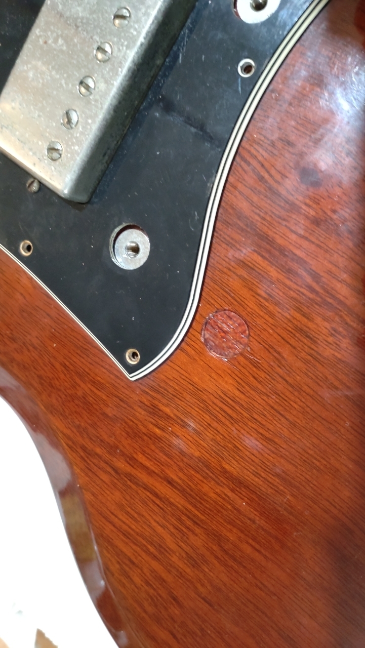 【リペア】もずくさんSG: H/F studio